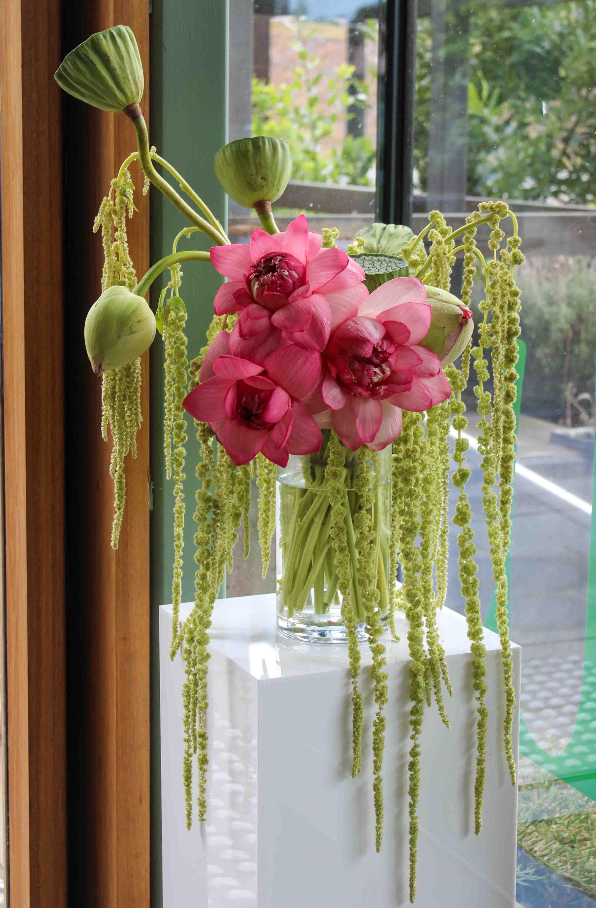 SPIRAL BOTANICALS – SPIRAL Botanicals